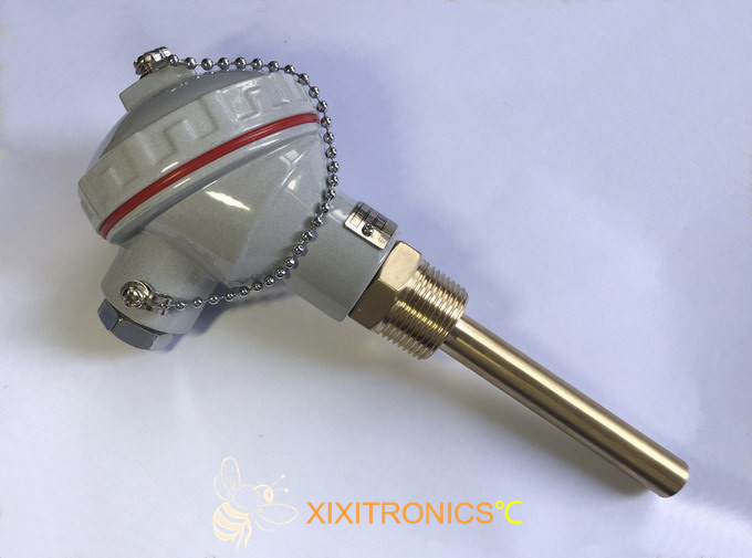 PT500 Platinum RTD Temperature Sensors for Nuclear Power Plant with ...